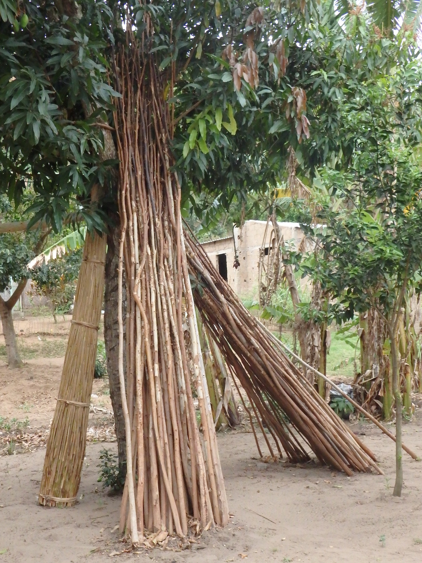 Changana-Tsonga